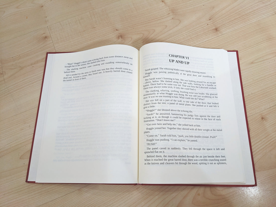 The Labyrinth Sarah's book – TV Gifts and Love